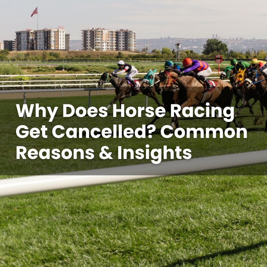 Why Does Horse Racing Get Cancelled? Common Reasons & Insights - Chief ...