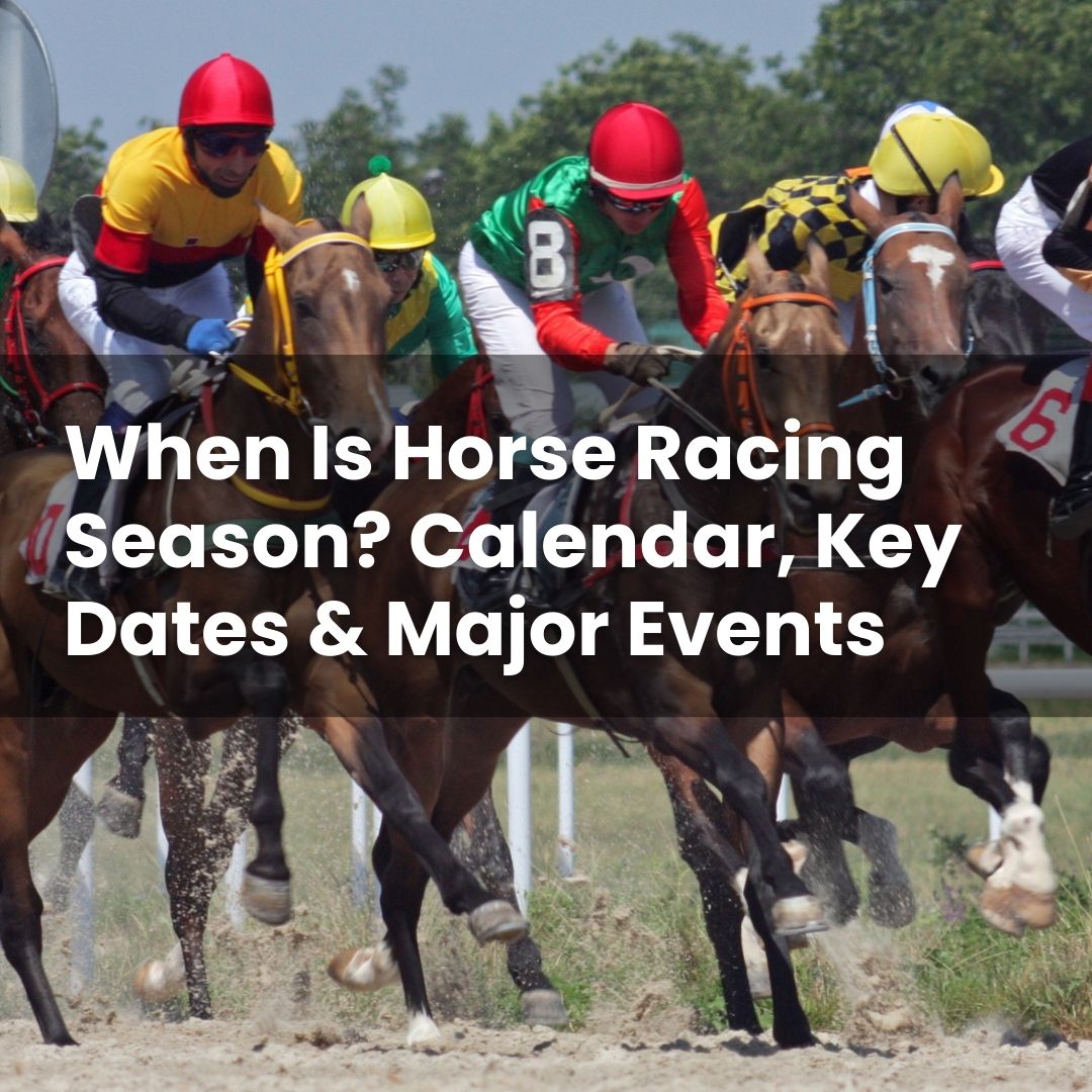When Is Horse Racing Season? Calendar, Key Dates & Major Events - Chief ...