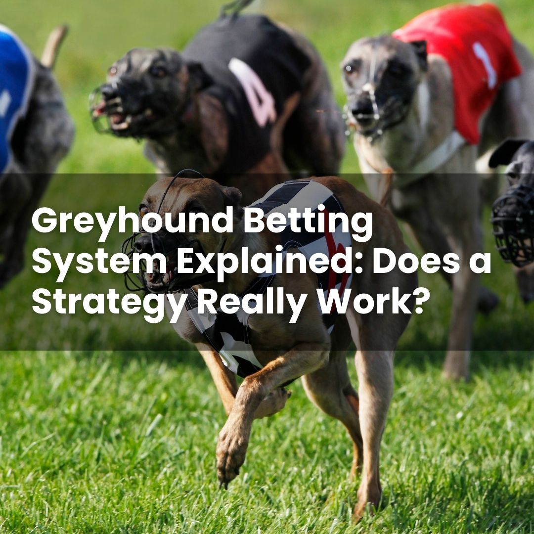 Greyhound Betting System Explained: Does a Strategy Really Work ...