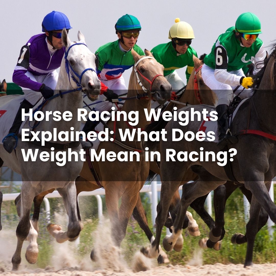 Horse Racing Weights Explained: What Does Weight Mean in Racing ...