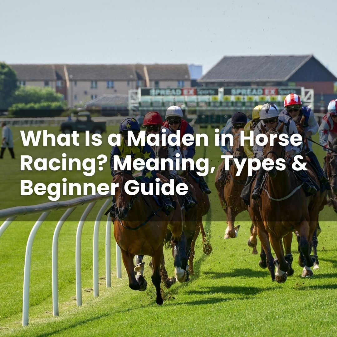 What Is a Maiden in Horse Racing? Meaning, Types & Beginner Guide ...